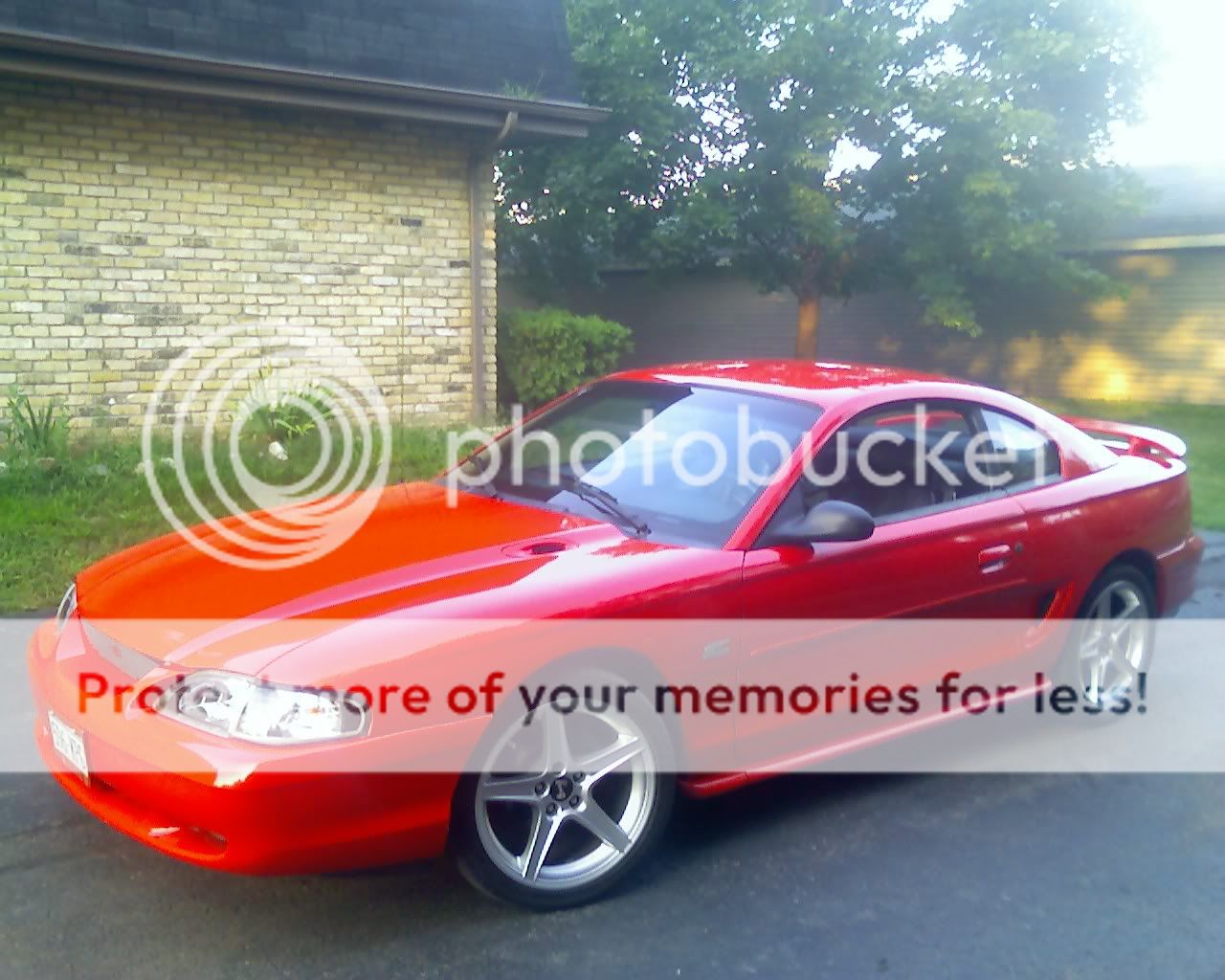 LETS SEE ALL SHADES OF RED PAINT | Ford Mustang Forums