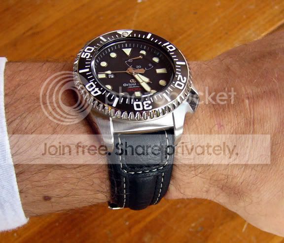 Orient's 300M Diver | WatchUSeek Watch Forums