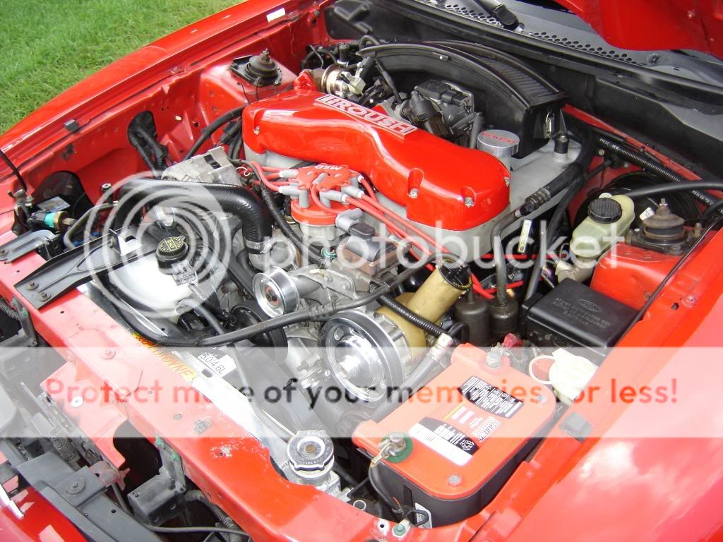 I'd never seen a Roush New Edge before. I really loved this one at a ...