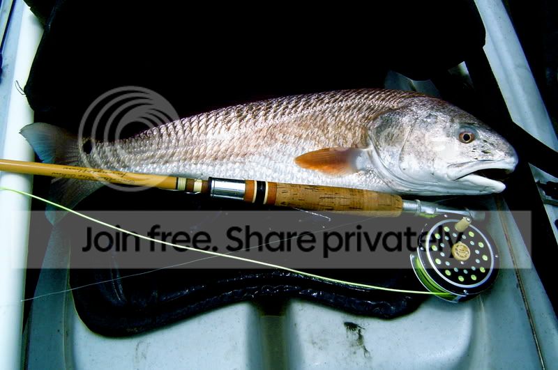 Redfish On Glass | Fishing with Fiberglass Fly Rods | Fiberglass Flyrodders