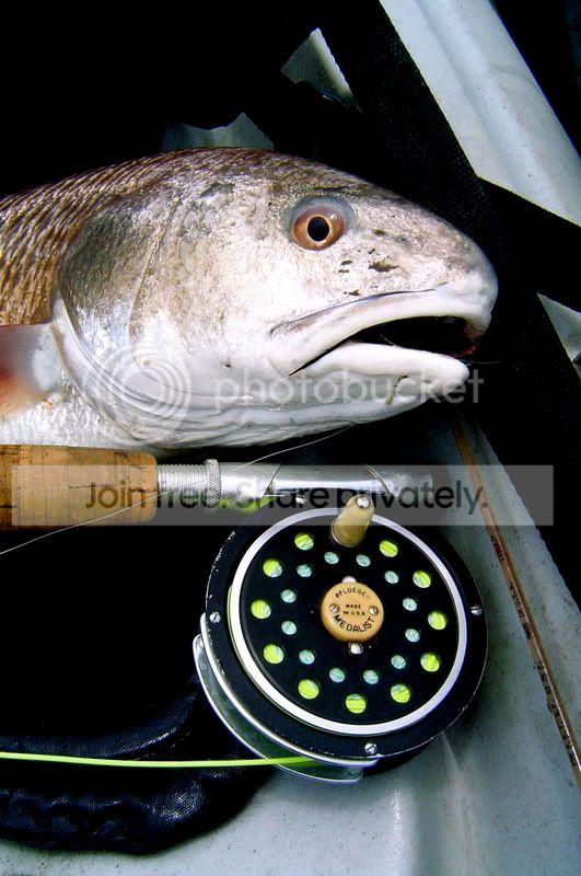 Redfish On Glass | Fishing with Fiberglass Fly Rods | Fiberglass Flyrodders