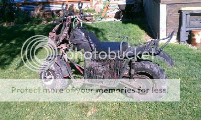 Tote Gote 750 | OldMiniBikes.com