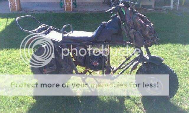 Tote Gote 750 | OldMiniBikes.com