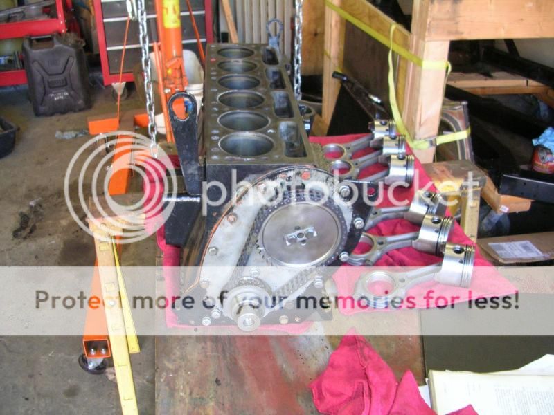 I always love taking these photos, TR6 engine rebuild : TR6 Tech Forum ...